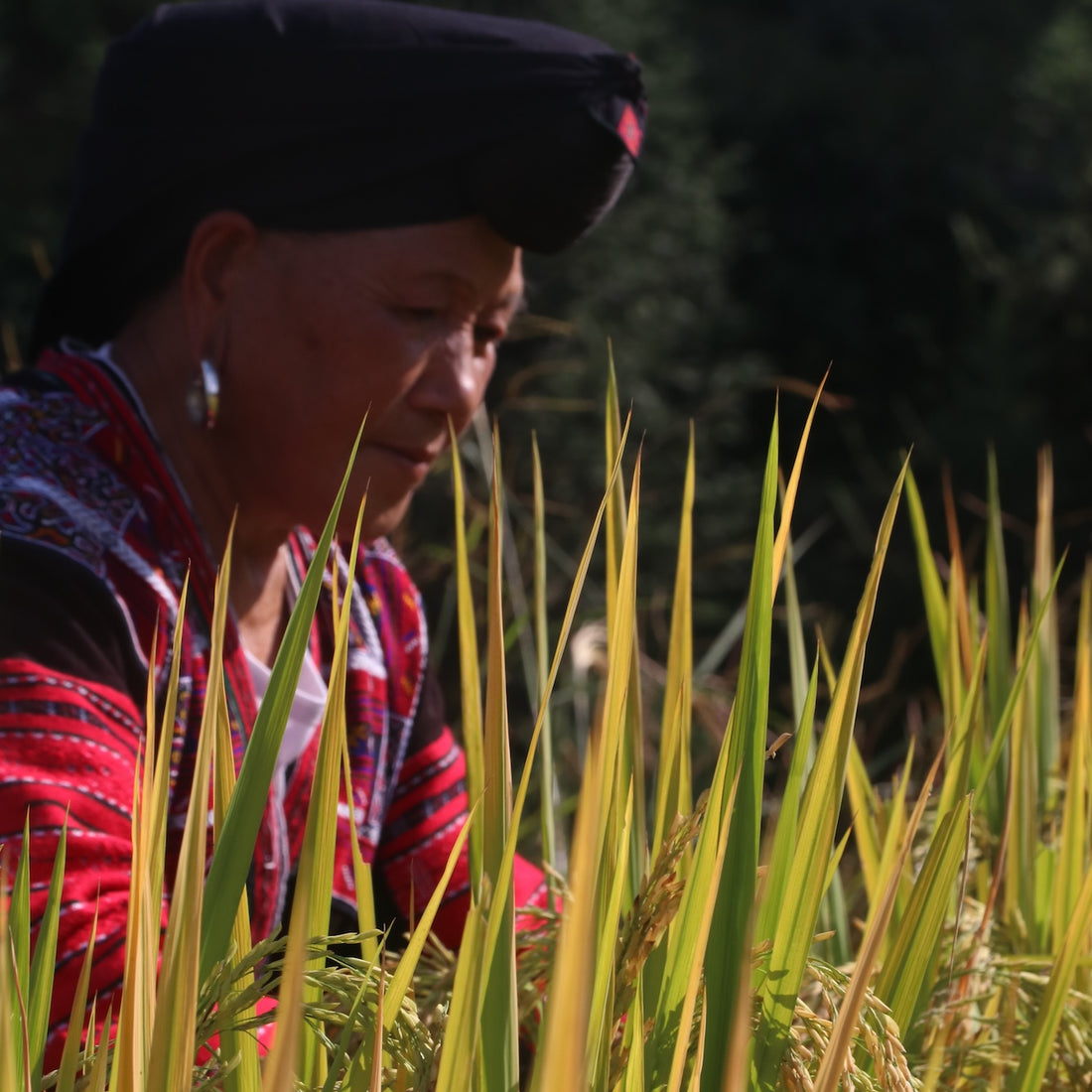 VIORI Blog – Viori