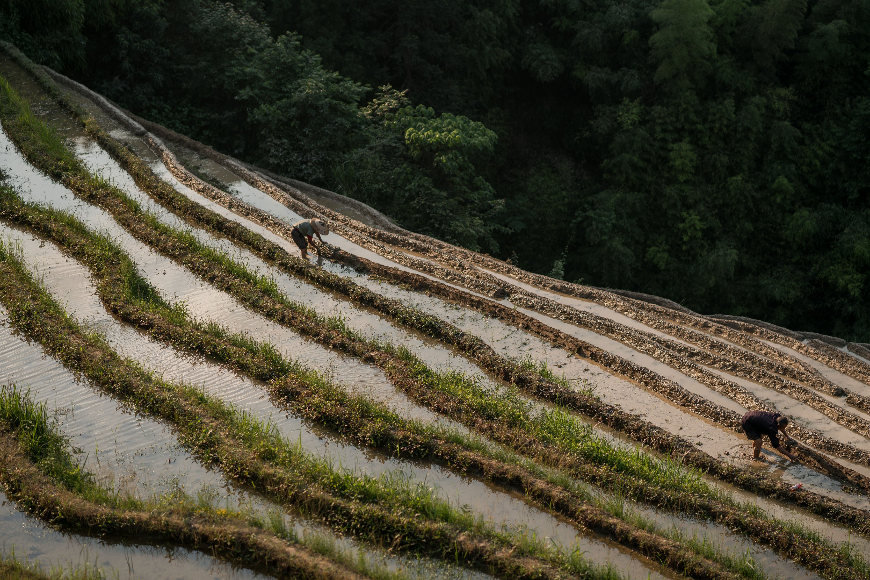 How The Red Yao Live Sustainably – Viori