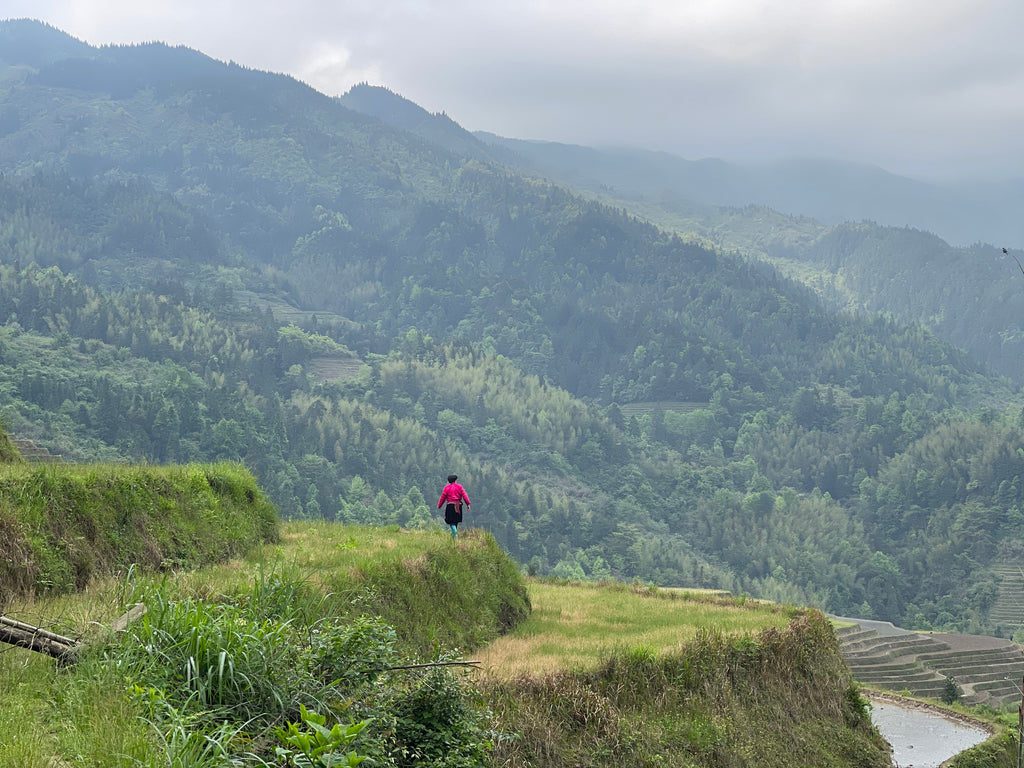 BRI #1: Longsheng All-Natural Rice Project | VIORI