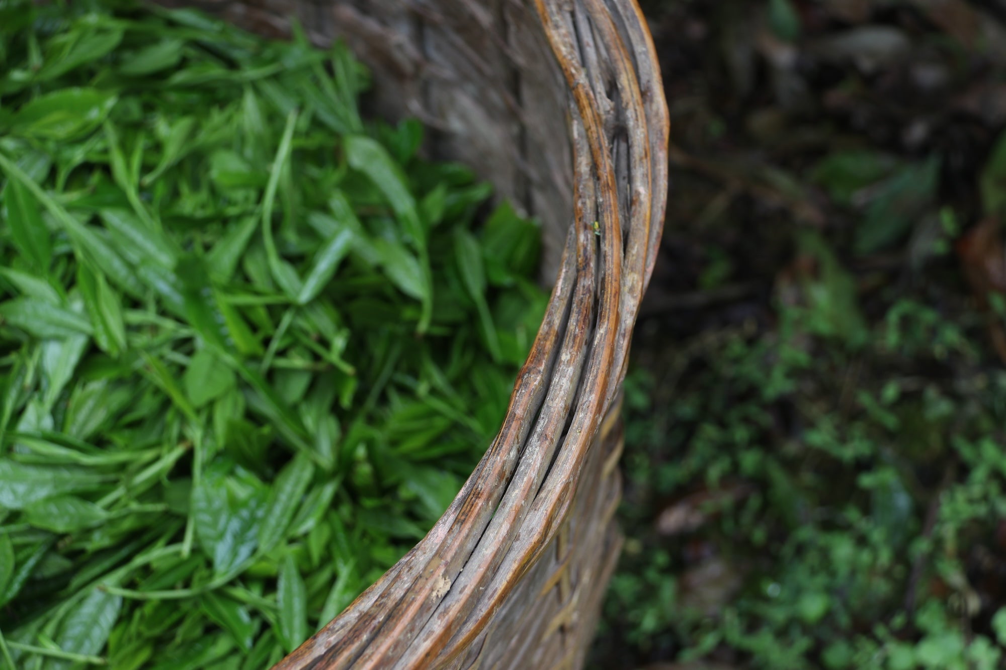 VIORI Blog – Viori