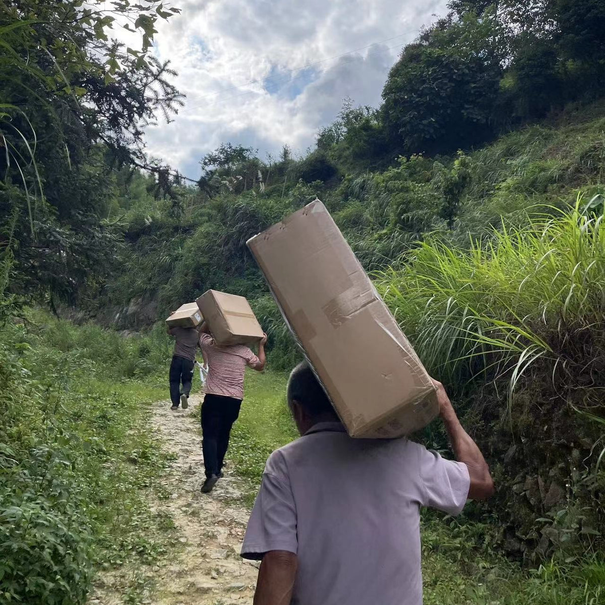 VIORI Blog – Viori