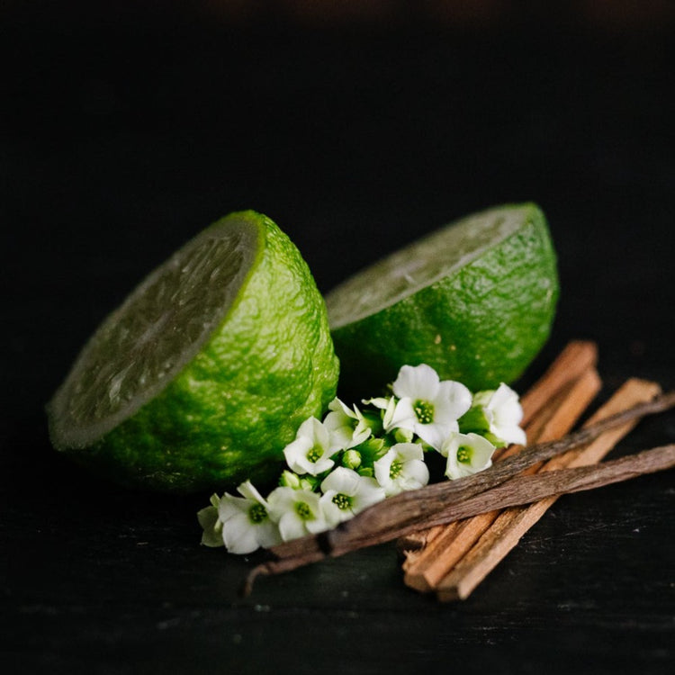 VIORI Shampoo Bars | Official Store – Viori